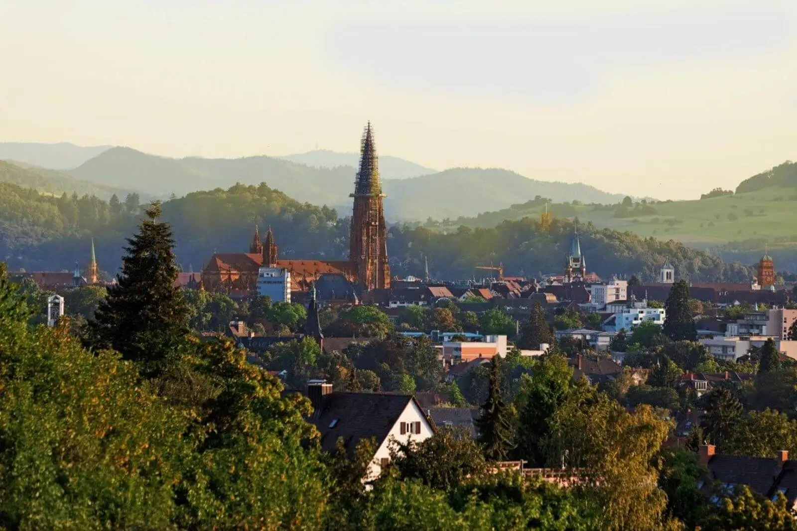 Freiburg und die Region - City Hotel Freiburg